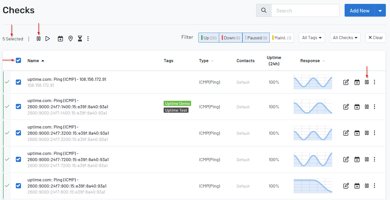 Check States | Filtering, Pausing, and Deleting Checks – Uptime.com